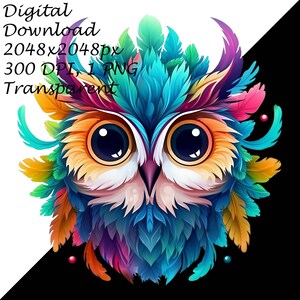 Colorful Owl Clipart Png-vibrant Boho Owl Illustration-high-resolution ...