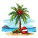 Christmas Beach Palm Tree With Santa Hat Transparent PNG Clipart,kids ...