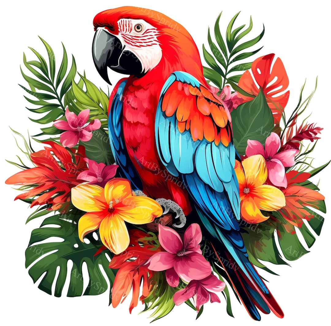 Tropical Parrot Clipart Set | Printable Sublimation PNG Files | Vibrant ...