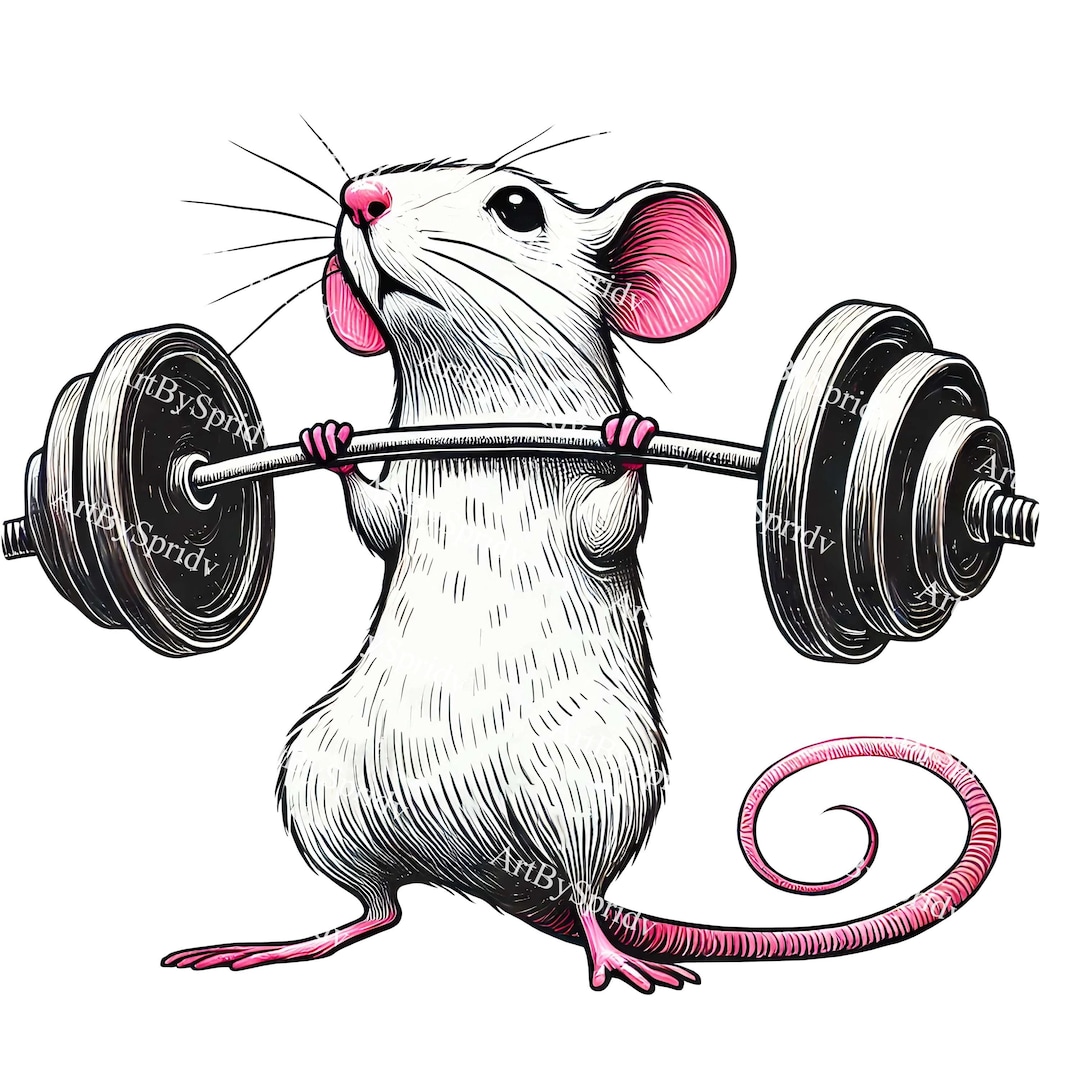 Funny Mouse Weightlifting Clipart, Gym Rat Illustration PNG, Quirky ...