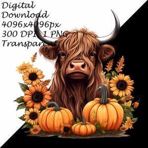 Autumn Highland Cow Clipart - Pumpkin & Sunflower Fall Digital Clip Art ...