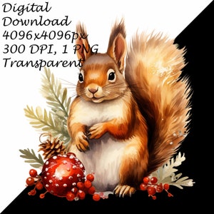 Festive Christmas Squirrel PNG Clipart Set|hand-drawn Woodland Animals ...