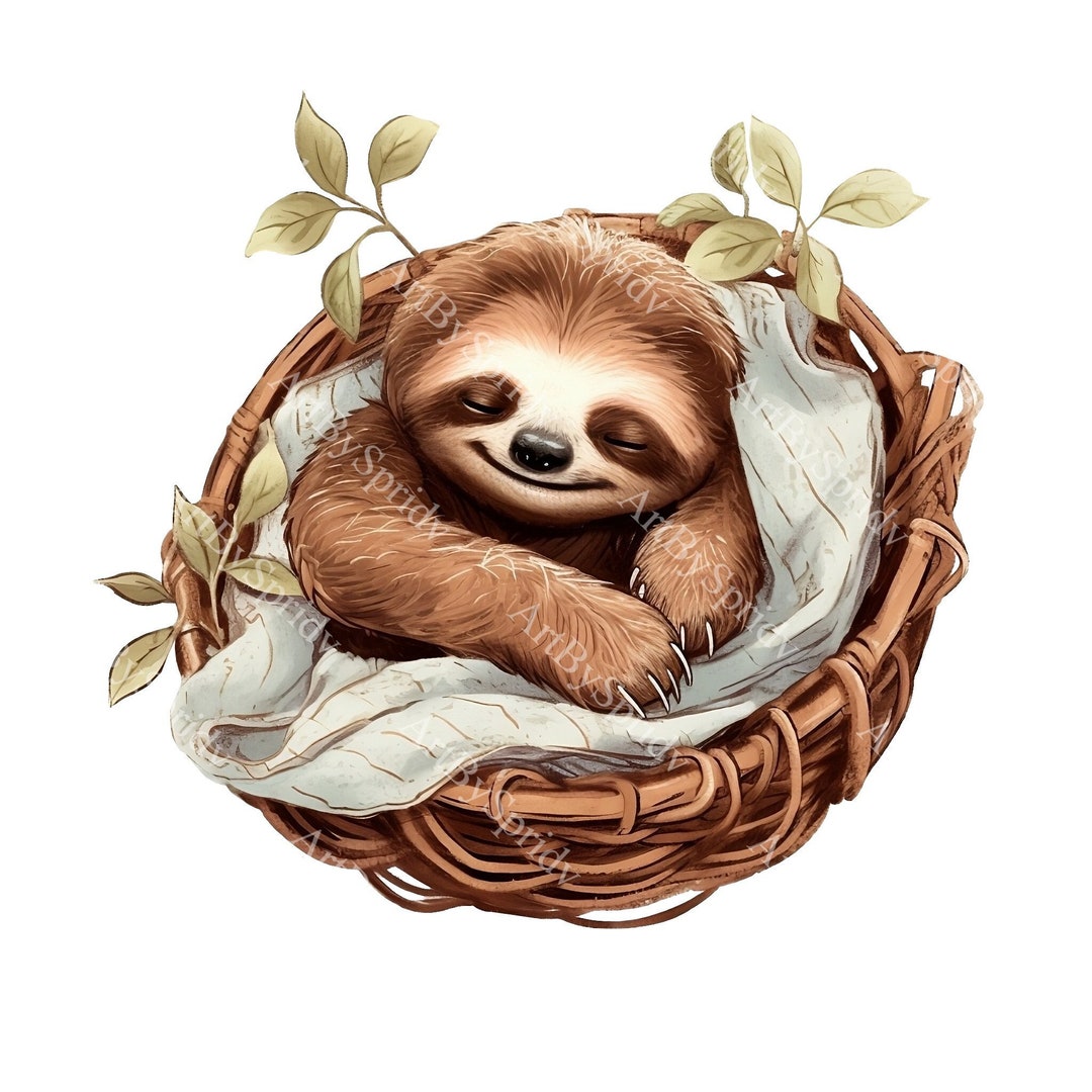 Hand-drawn Baby Sloth Clipart in Basket Cute Sloth Illustration for ...