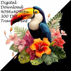 Exotic Toucan Tropical Clipart Set – 4 PNG Files – Vibrant Flowers ...
