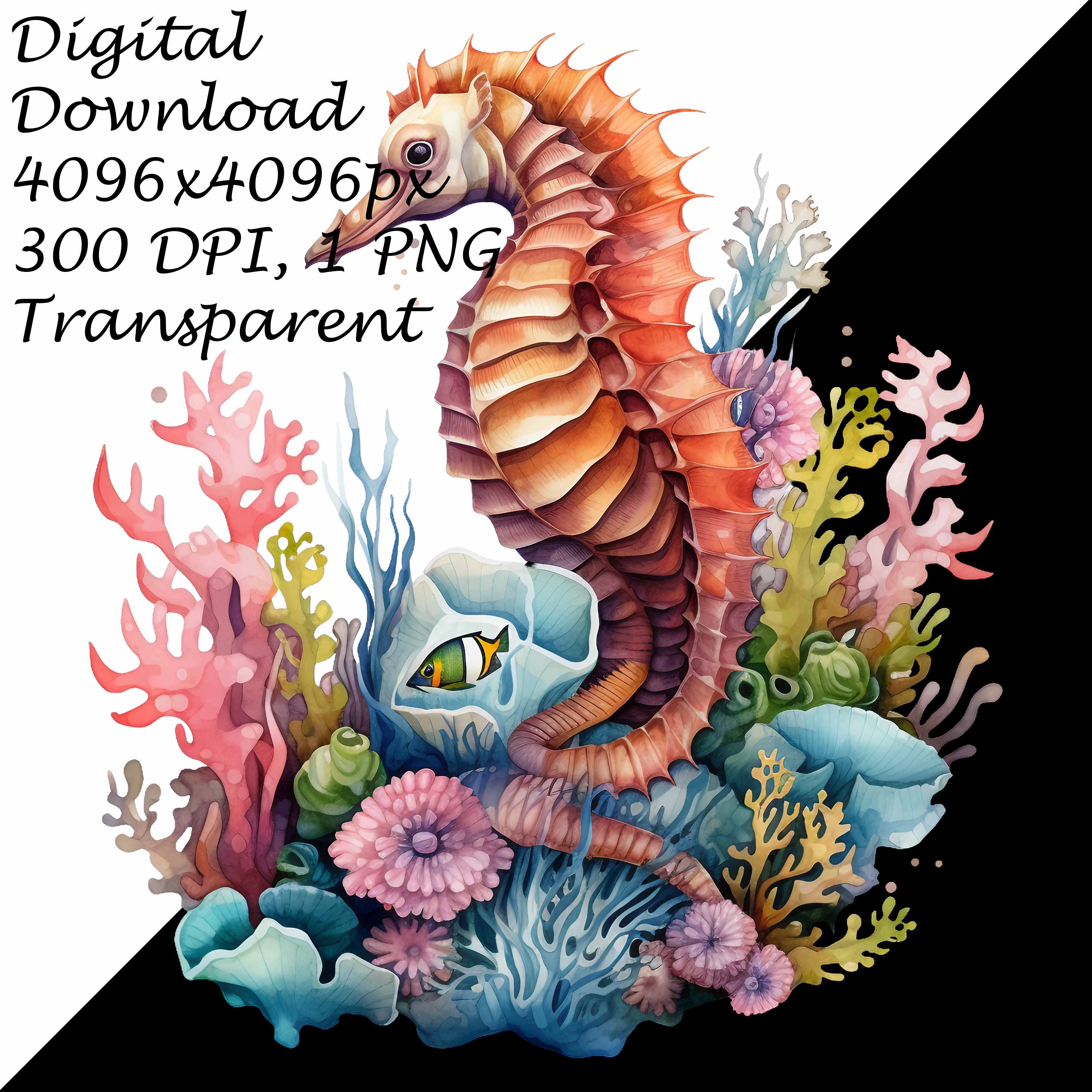 Vibrant Seahorse Clipart Set,underwater Marine Life Png,ocean Coral ...
