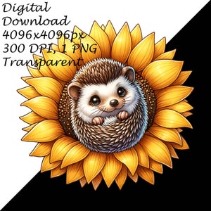 Sunflower Hedgehog Digital Clipart | Cute Animal Transparent PNG for ...