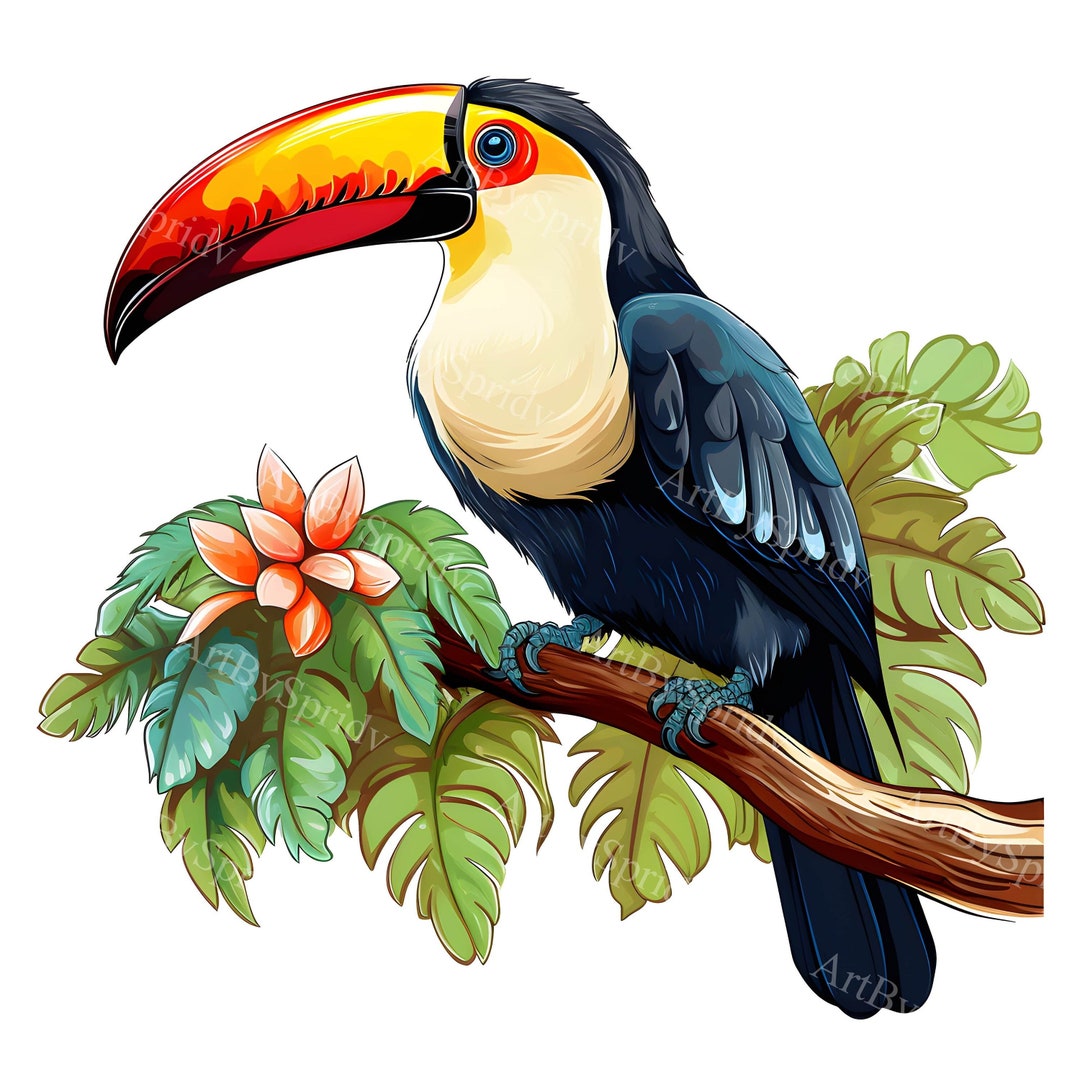 Exotic Toucan Clipart PNG Clipart, Tropical Bird Illustration,jungle ...
