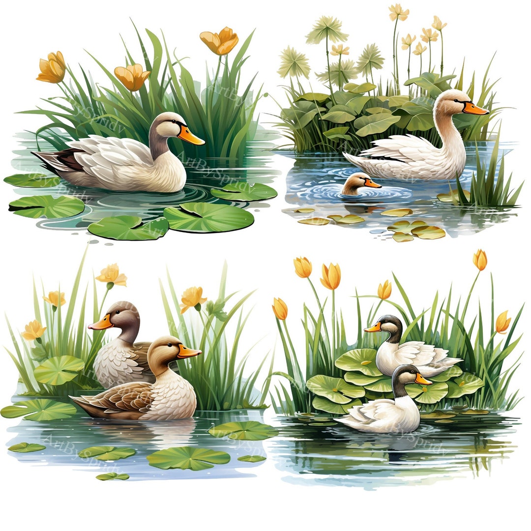 Serene Duck Pond PNG Clipart Bundle | Water Lily and Duck Transparent ...