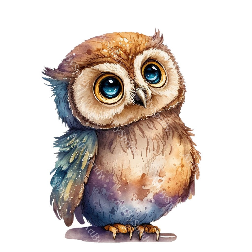 Watercolor Owl PNG Transparent Clipart Kids Cartoon - Etsy
