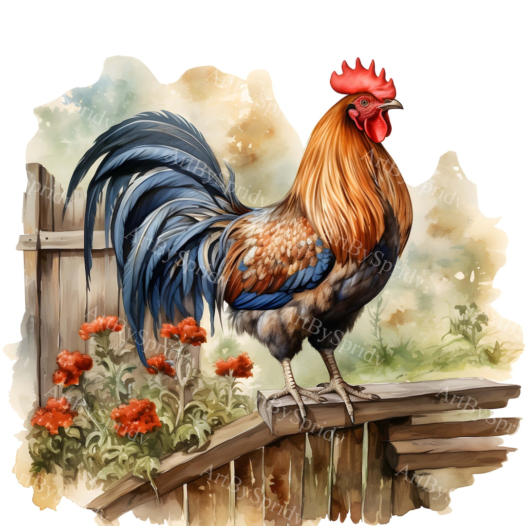 Rooster PNG Clipart for Farmhouse Decor, Digital Download Rustic ...