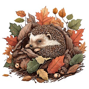 Baby Hedgehog Snuggled in Fall Leaves PNG Clipart, Autumn Woodland ...