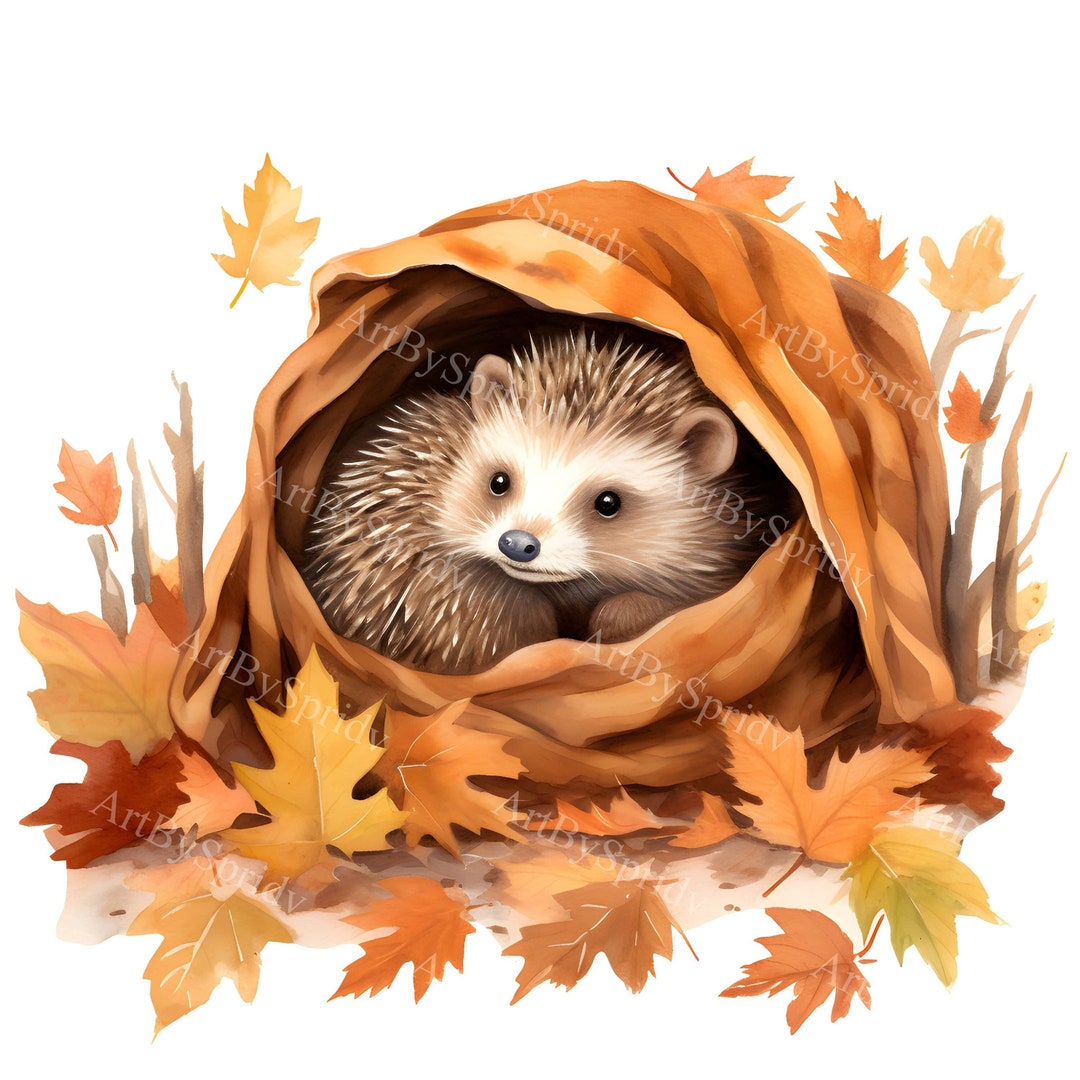 Watercolor Autumn Hedgehog Clipart - Fall Seasonal Decoration ...