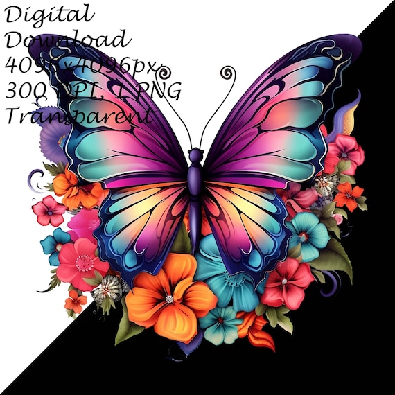 Colorful Butterflies Pictures