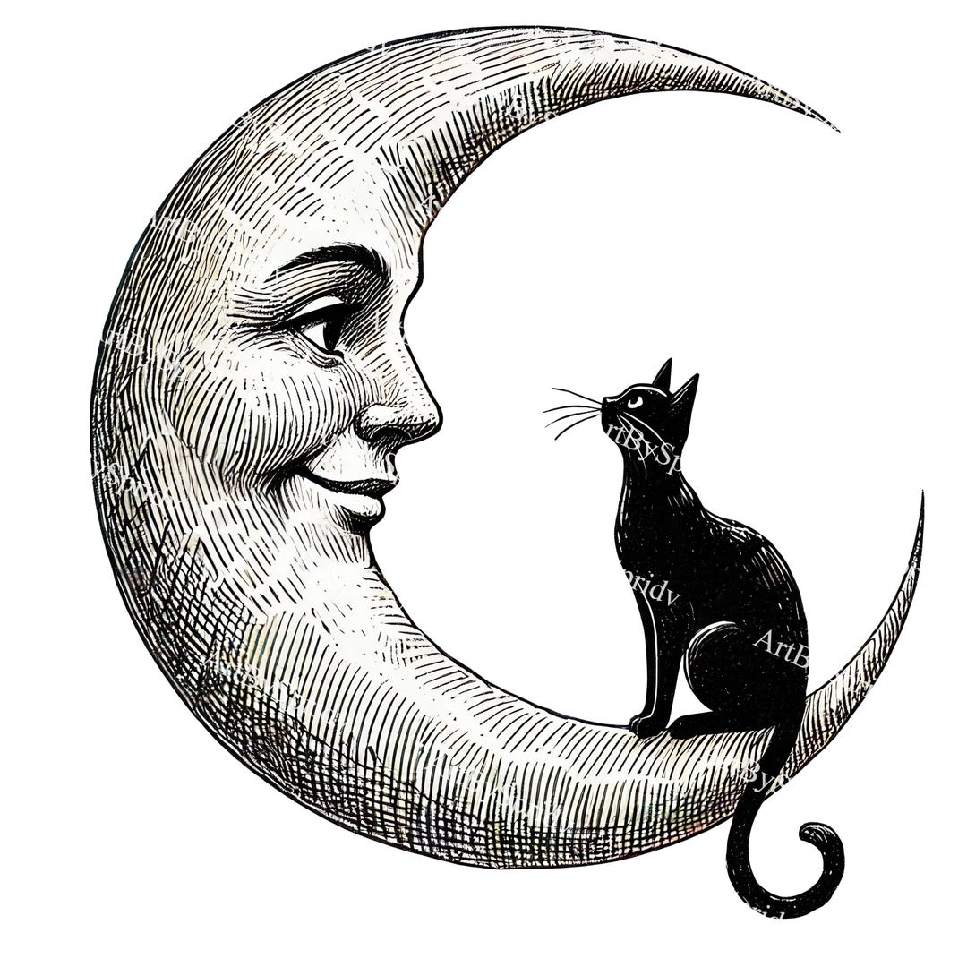 Vintage Black Cat on Crescent Moon PNG, Mystical Celestial Clipart ...