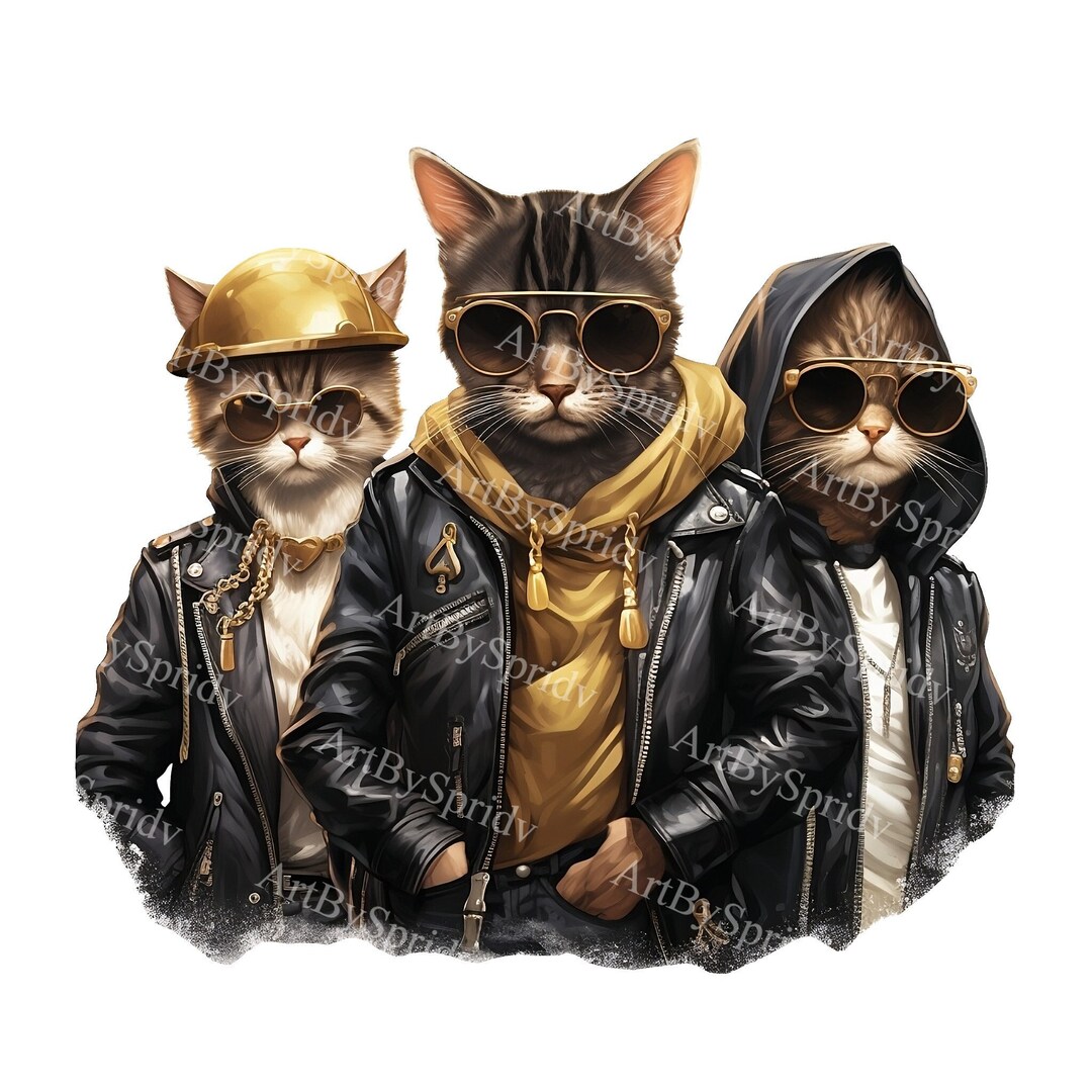 Cool Cat Crew Clipart PNG, Trendy Cats in Sunglasses & Leather Jackets ...