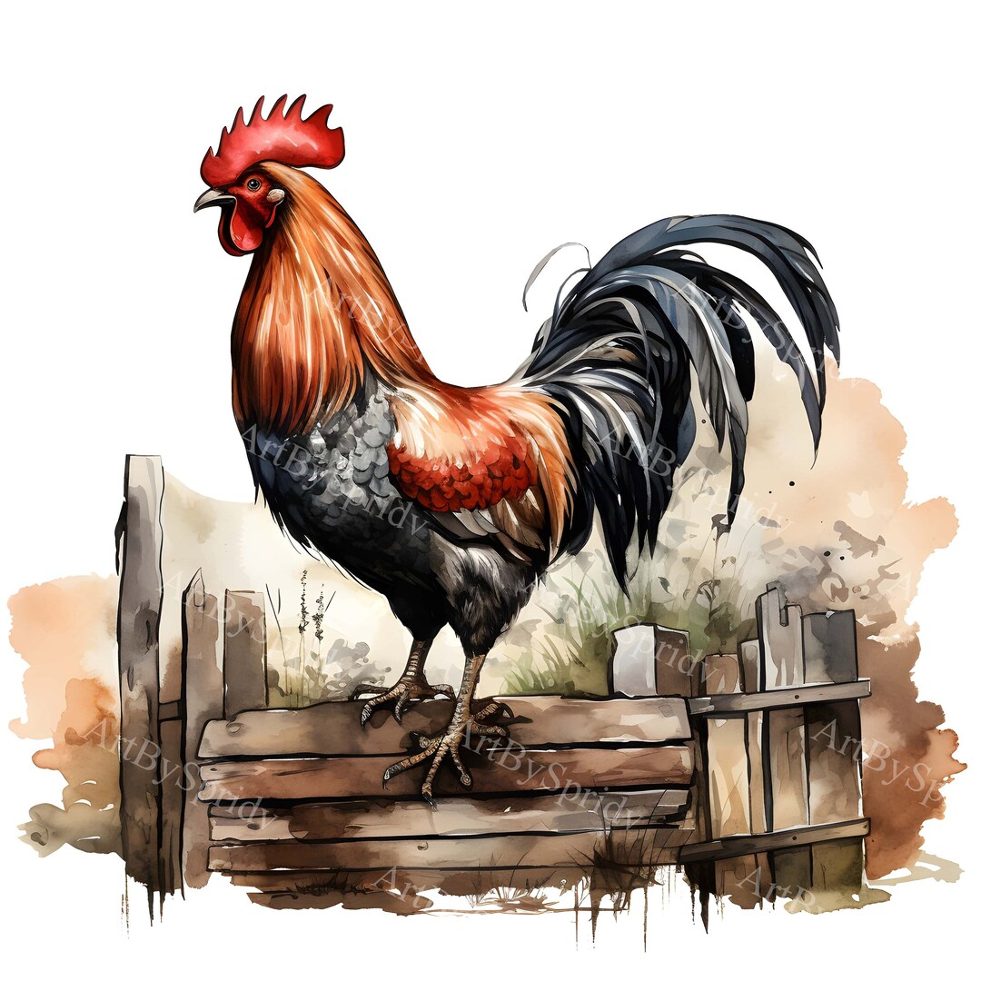 Vibrant Rooster PNG Clipart, Farm Animal Digital Clip Art, Rustic ...