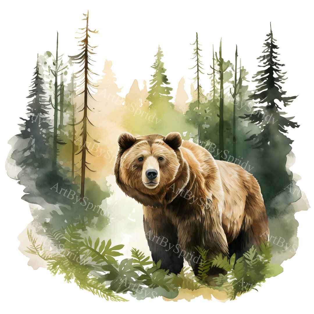 Watercolor Bear Clipart Png-forest Digital Download,hand-painted ...
