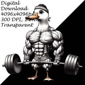 Muscular Duck Clipart, Weightlifting Cartoon Duck PNG, Bodybuilder Duck ...