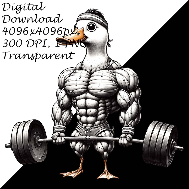 Muscular Duck Clipart, Weightlifting Cartoon Duck PNG, Bodybuilder Duck ...