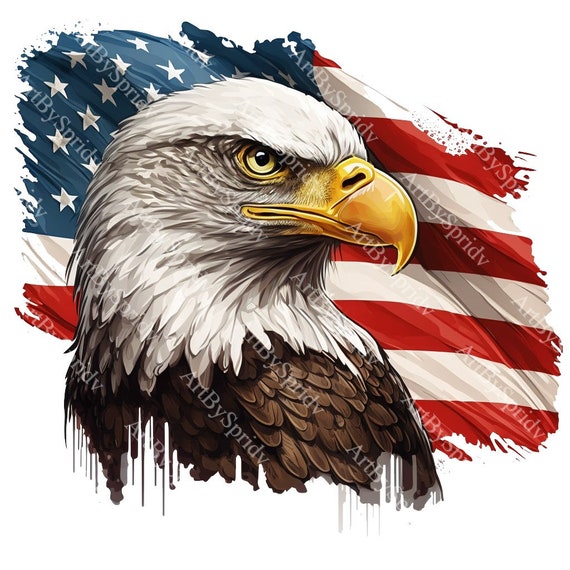 American Flag Transparent