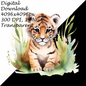Watercolor Cute Baby Tiger Cub Surrounded by Grass - Transparent 4 PNG ...