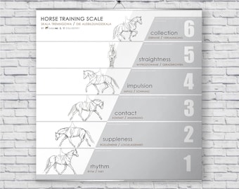 Horse Training | Etsy