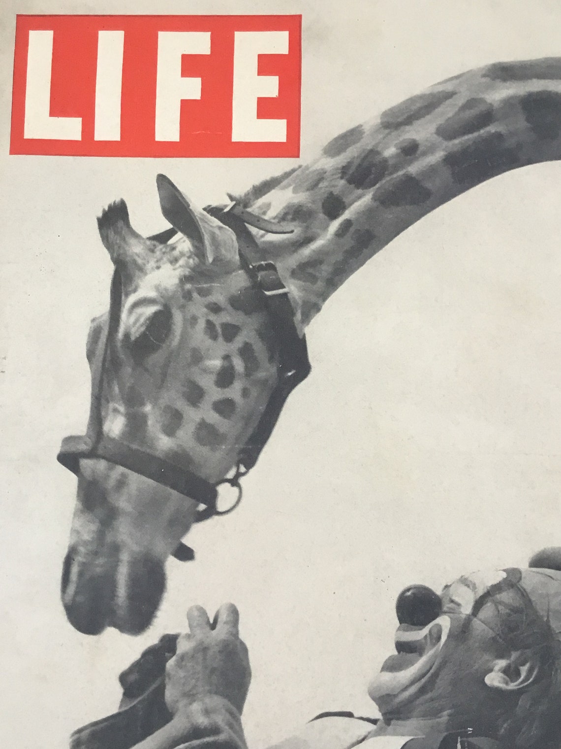 Original Life Magazine Cover and Article circus - Etsy