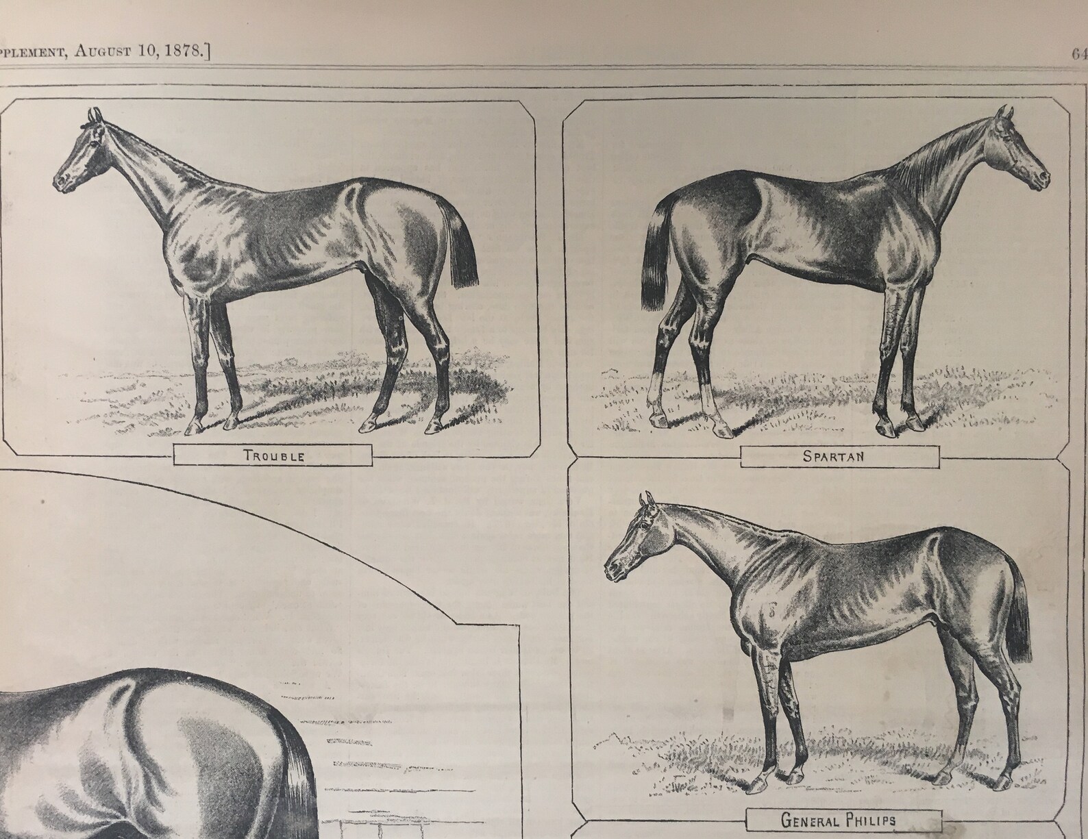 Famous American Thorough-breds by Henry Stull Harper's - Etsy Famous American Thorough-breds by Henry Stull Harper's - Etsy
