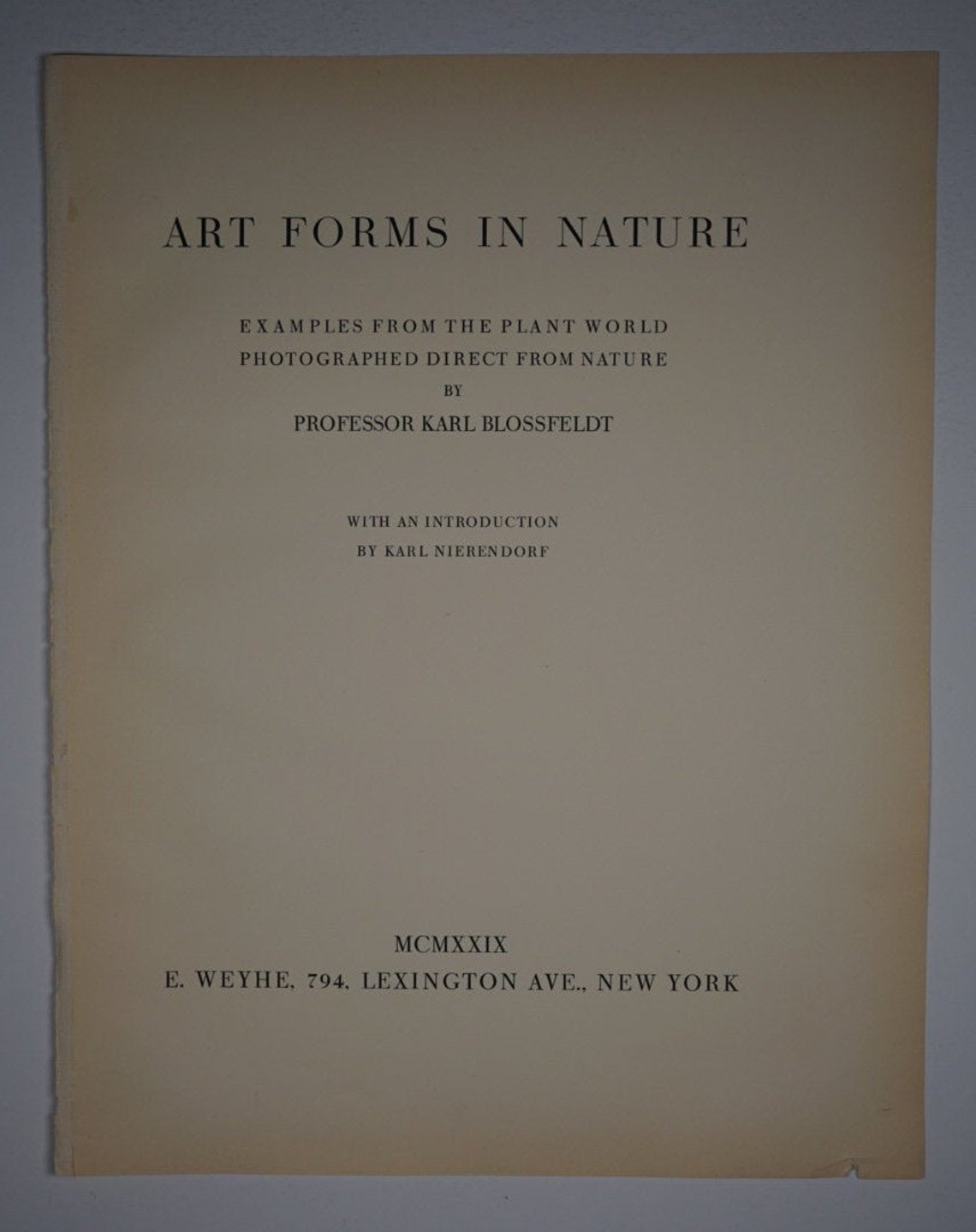 Art Forms in Nature by Karl Blossfeldt, Plate No. 42, 1929 - Etsy