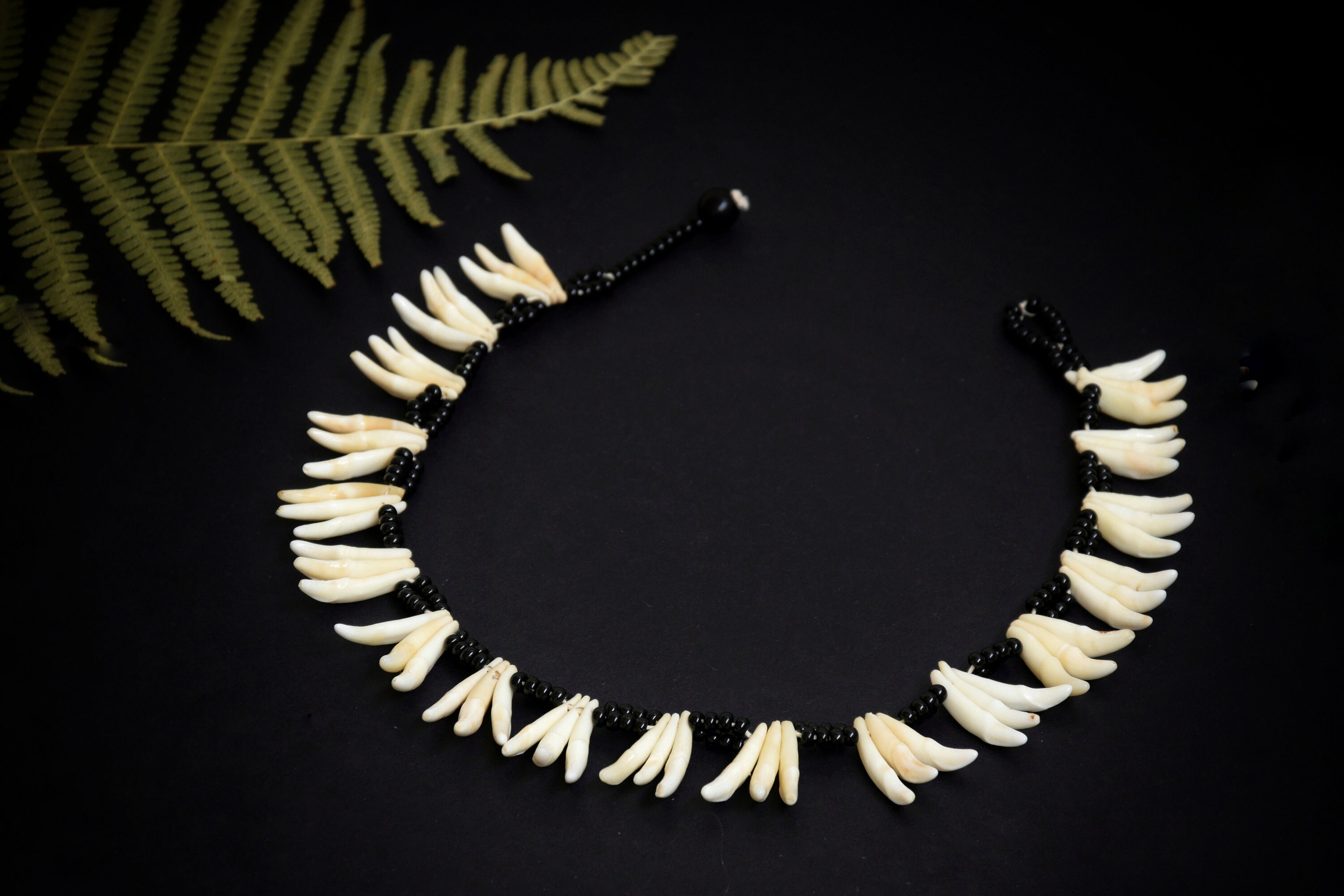 African Tribal Necklace Nguni Style, With Glass Beads and Canine Teeth ...
