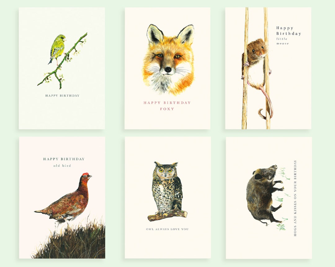 Animal Greetings Cards - Pack of Six - Etsy