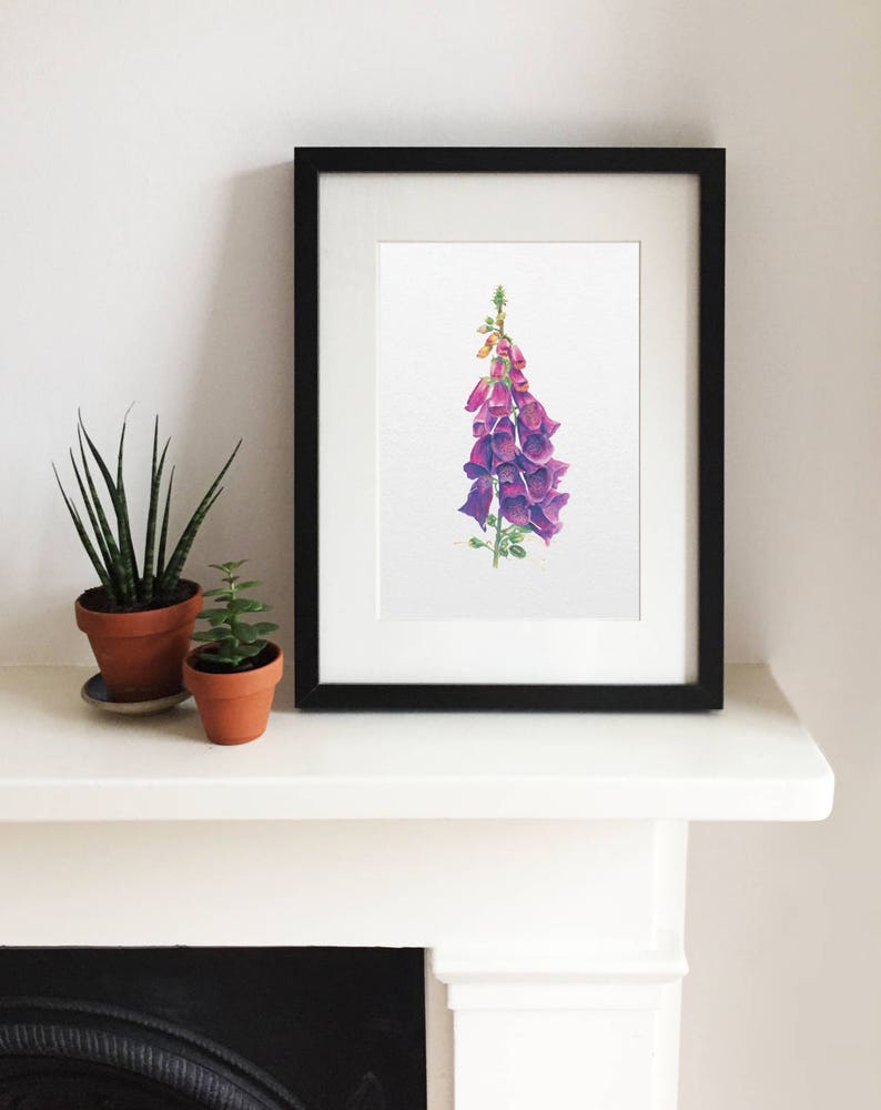 Foxglove Watercolour Print - Etsy