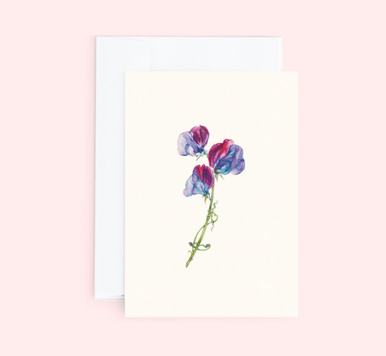 Flower Greetings Cards Pack of Six - Etsy