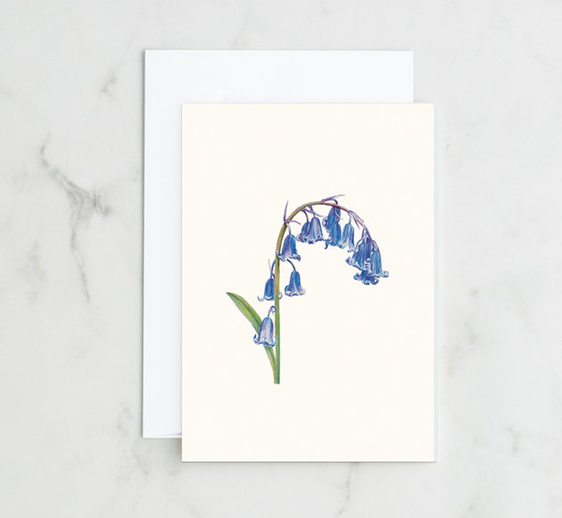 Flower Greetings Cards Pack of Six - Etsy