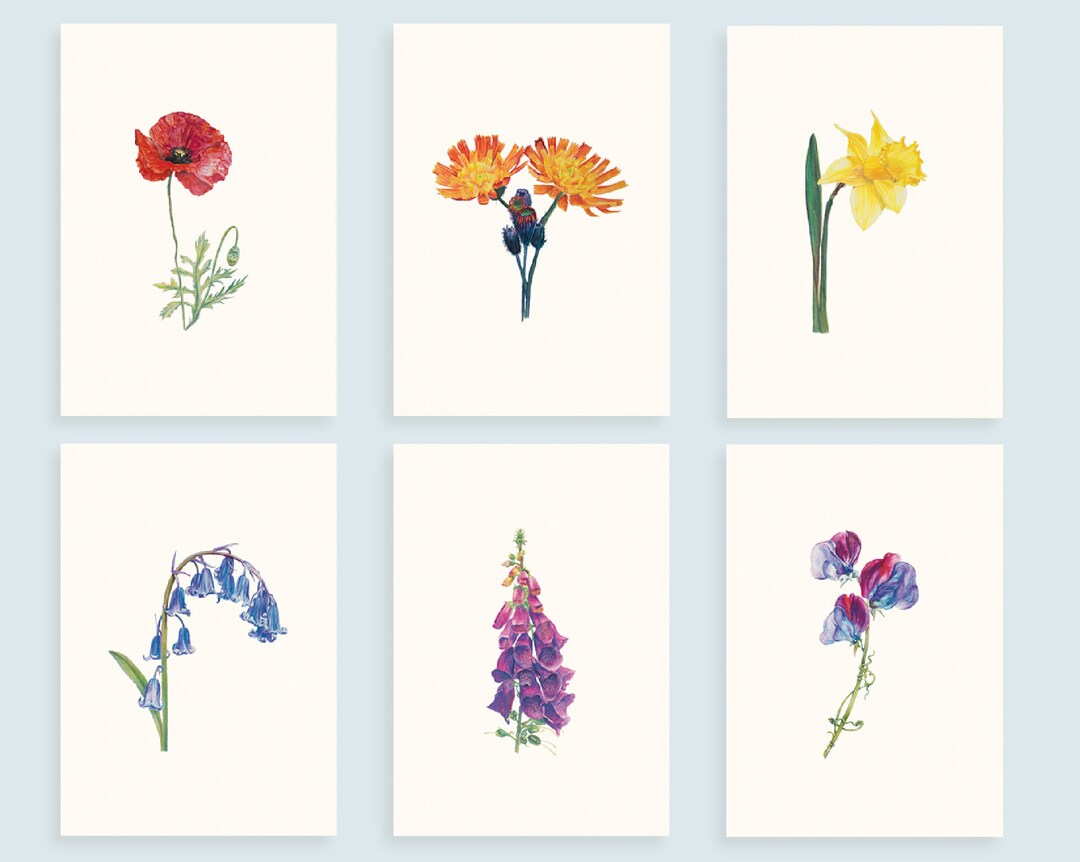 Flower Greetings Cards - Pack of Six - Etsy