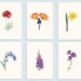 Flower Greetings Cards Pack of Six - Etsy