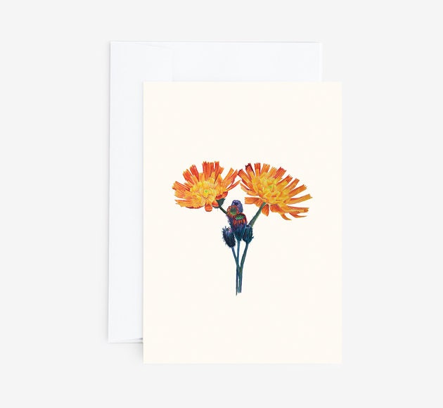 Flower Greetings Cards - Pack of Six - Etsy