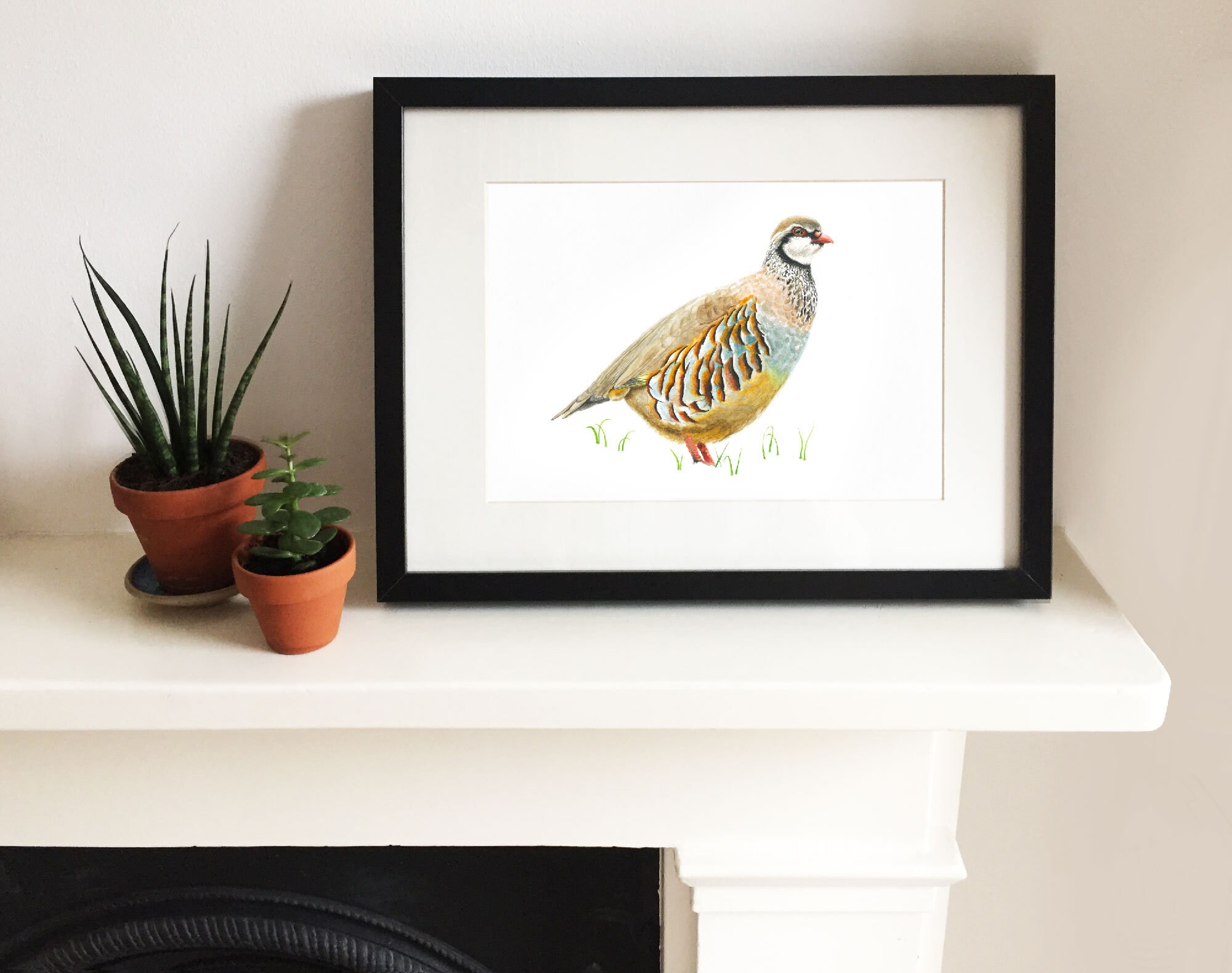 Partridge Watercolour Print - Etsy