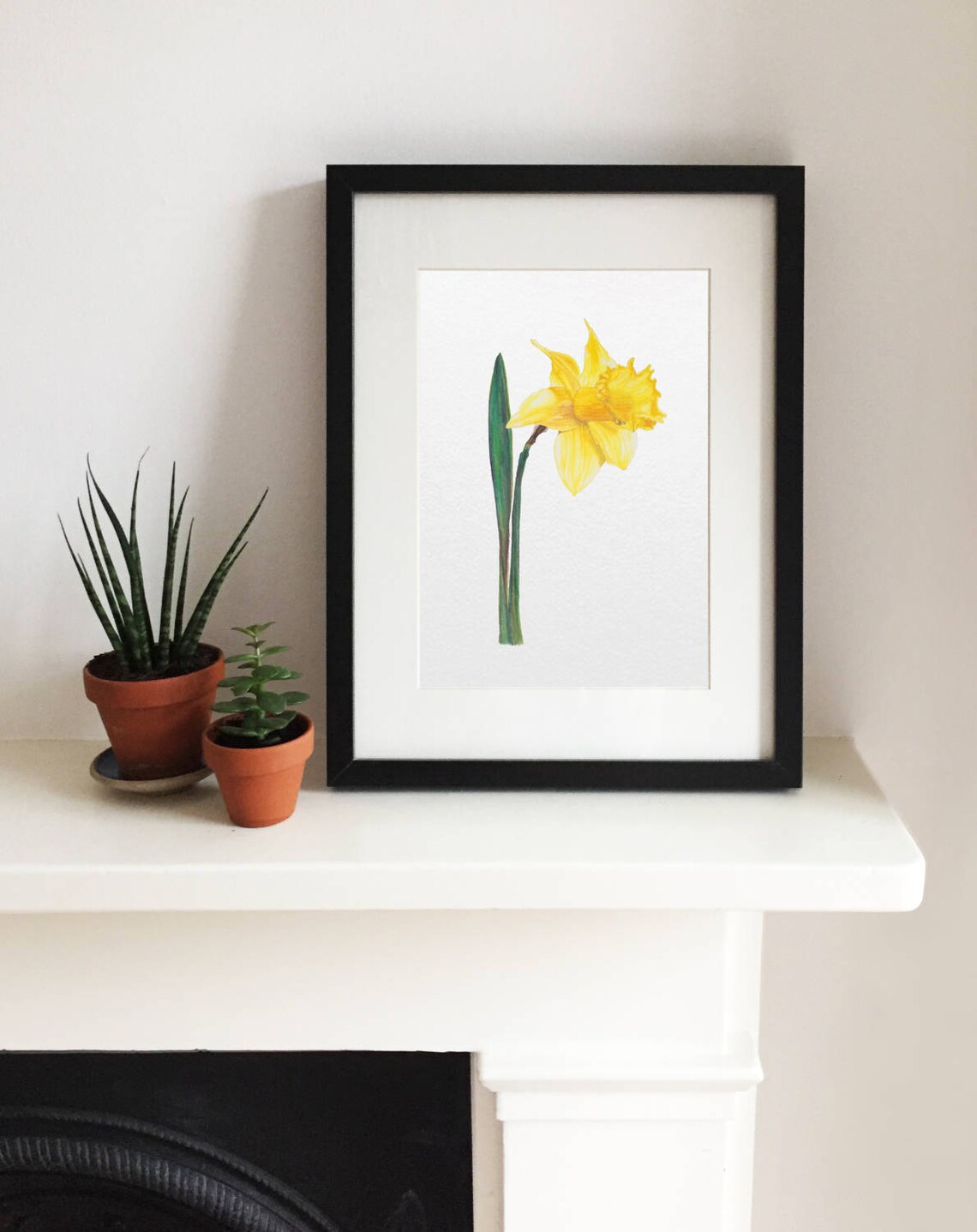 Daffodil Watercolour Print - Etsy