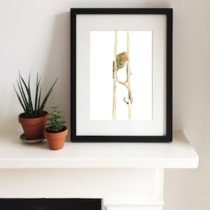 Field Mouse Watercolour Painting - Etsy