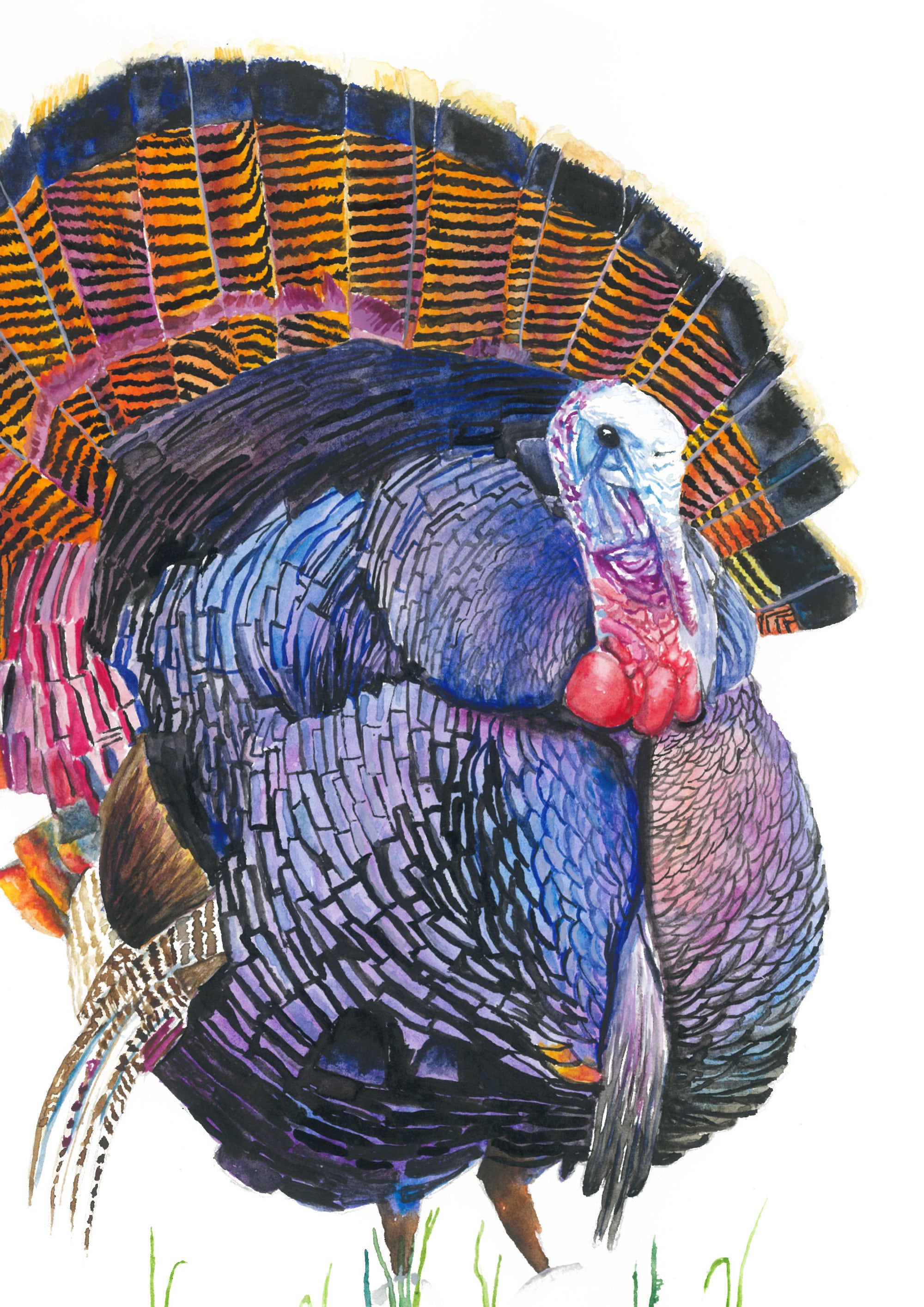 Turkey Watercolour Print - Etsy