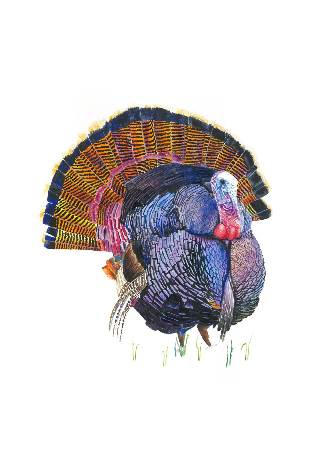 Turkey Watercolour Print - Etsy
