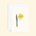 Flower Greetings Cards - Pack of Six - Etsy