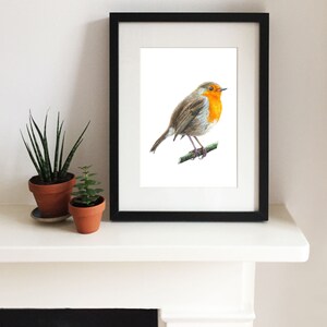 Robin Watercolour Print | Etsy