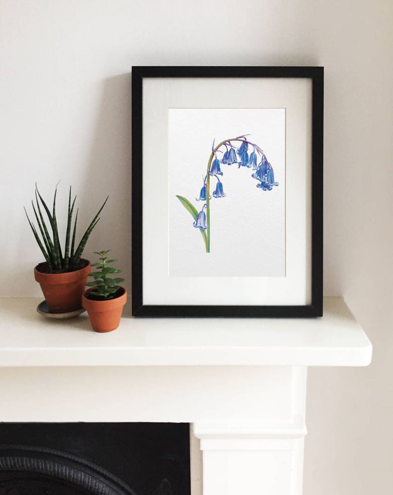 Bluebell Watercolour Print - Etsy UK