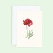 Flower Greetings Cards - Pack of Six - Etsy