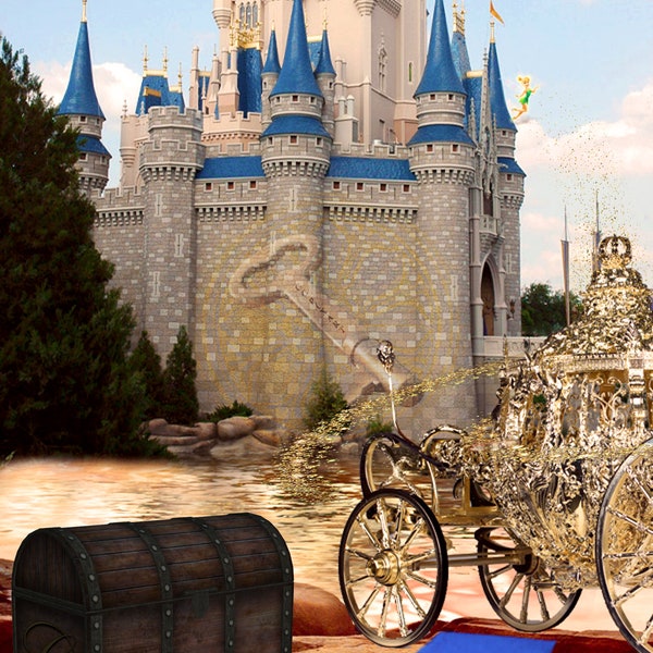 Cinderella Backdrop - Etsy