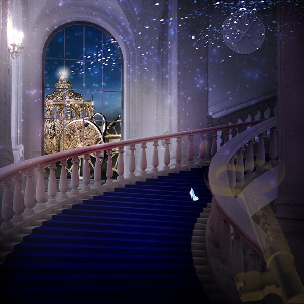 Cinderella Backdrop - Etsy