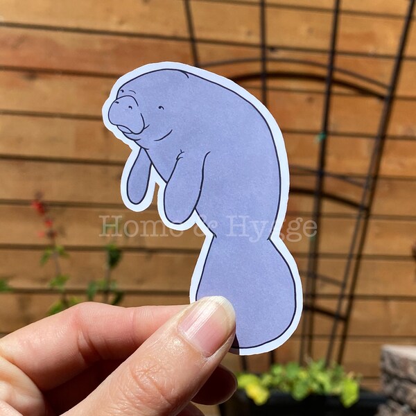 Manatee Art Top - Etsy