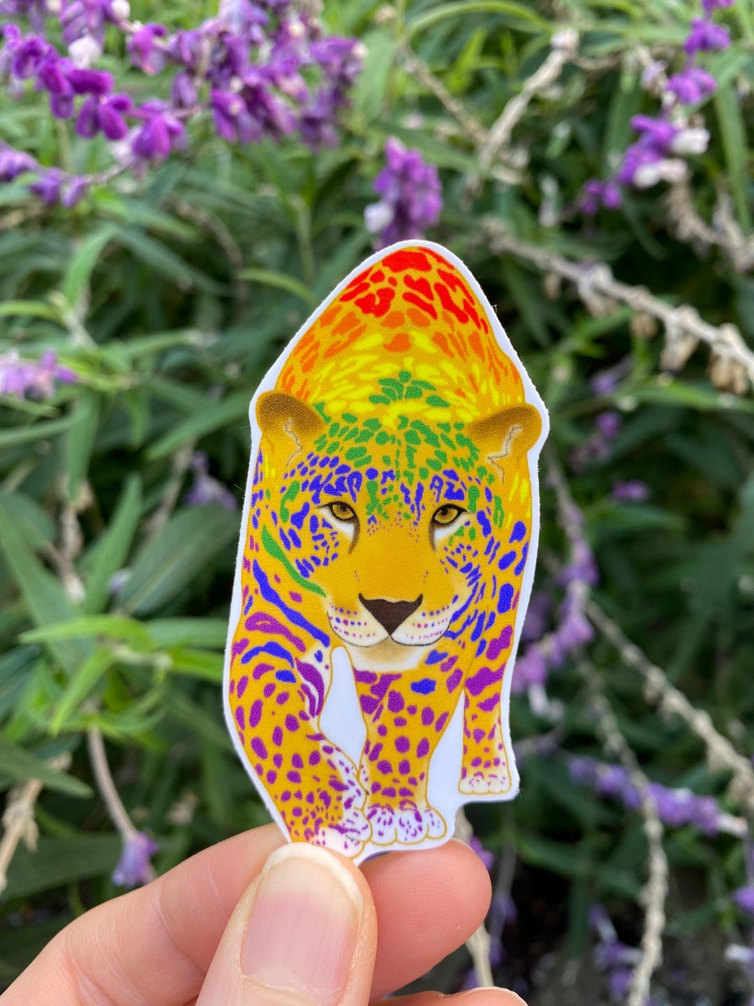 Rainbow Jaguar Sticker: Weatherproof Animal Decal - Etsy